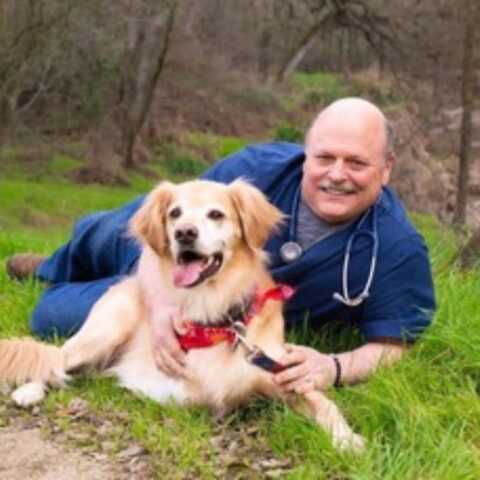 Veterinarian In Sacramento, CA | Foothill Farms Vet Hospital