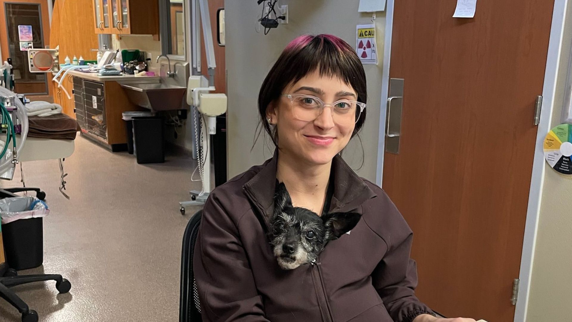 Pet Laboratory Testing In Sacramento CA | Foothill Farms Vet