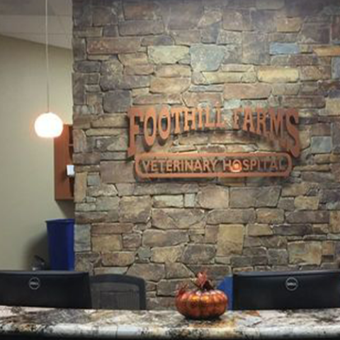 Pet Cremation In Sacramento CA | Foothill Farms Vet Hospital